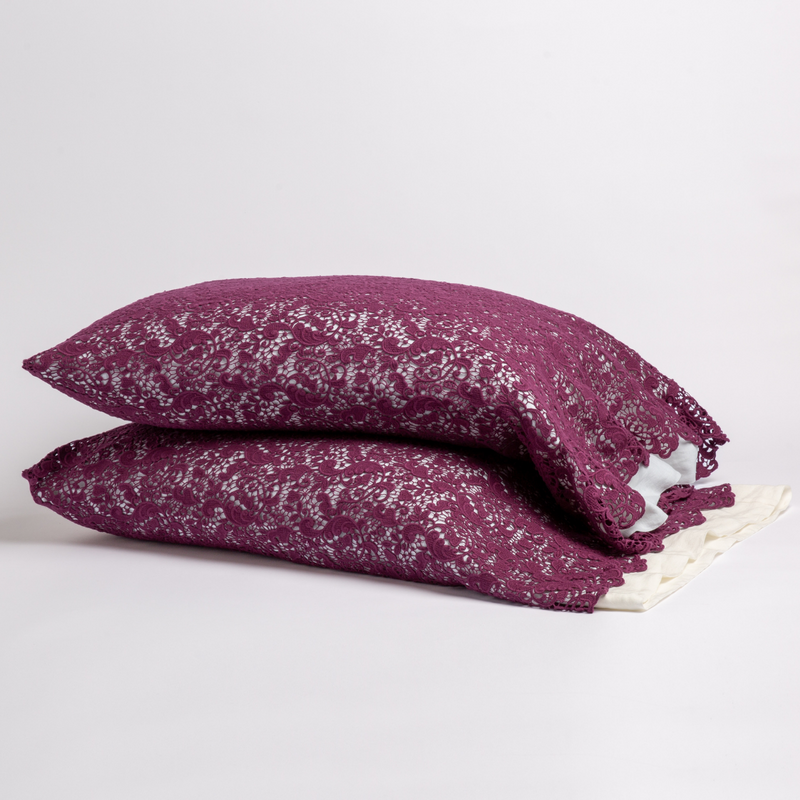 Allora Lace Pillowcase (Single) – Bella Notte Linens